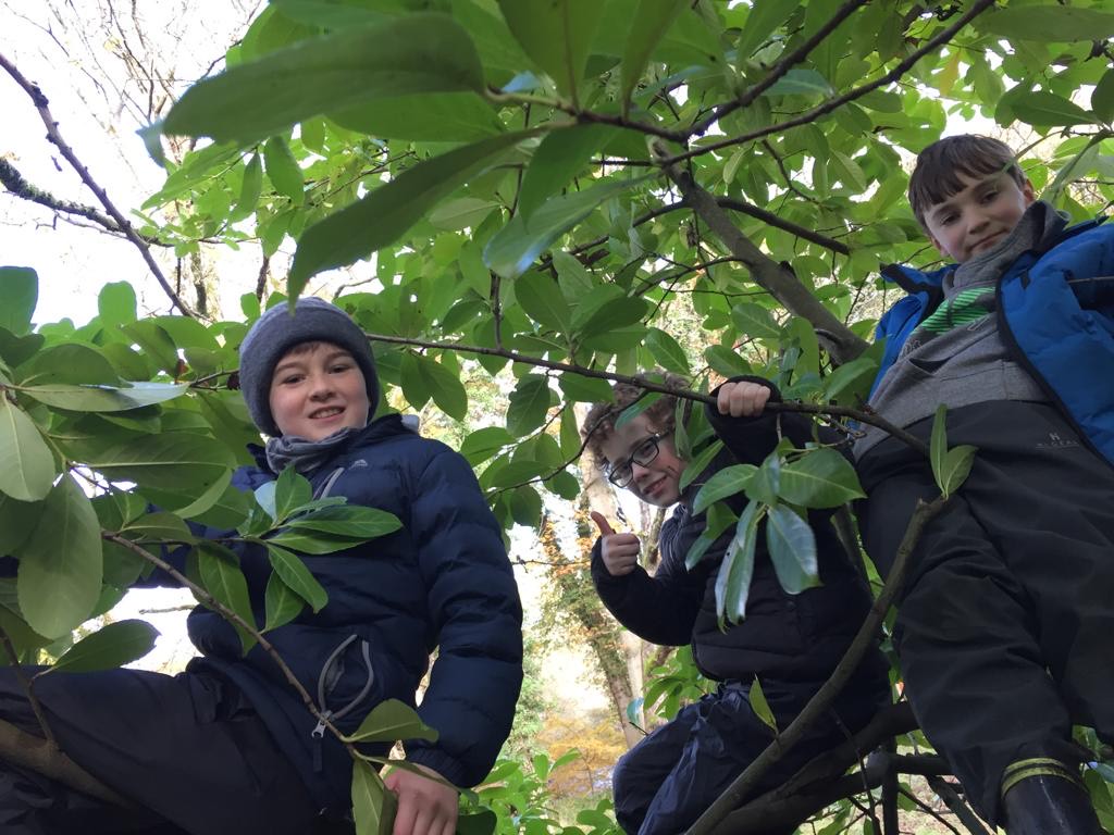 Forest School – Room 4 | Underbank Primary School